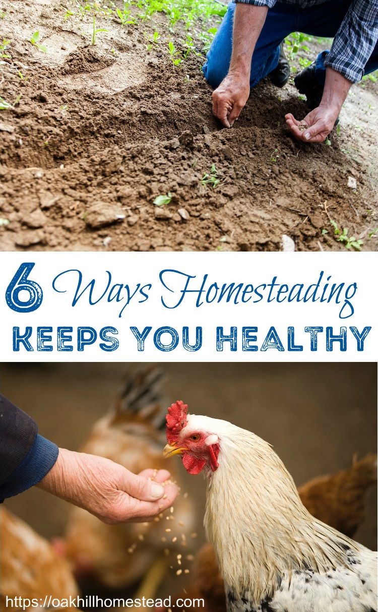 6 Ways Homesteading Keeps You Healthy - Oak Hill Homestead