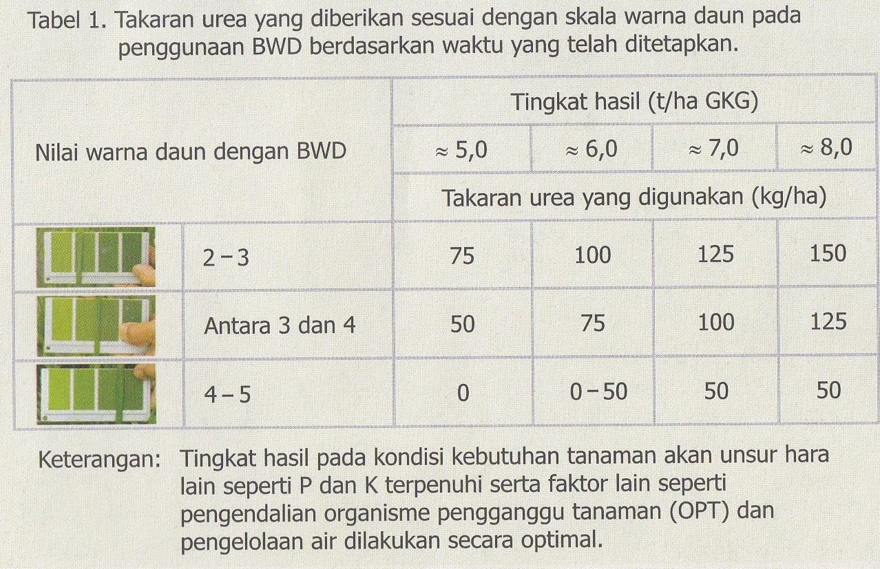 BAGAN WARNA DAUN - pemuda tani