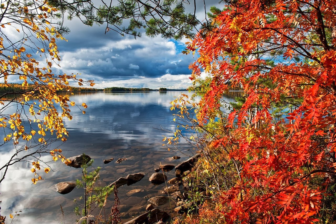 ABC Russian: Autumn in Russia