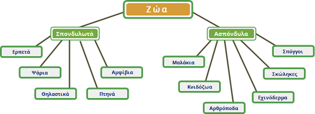 Παίζω και μαθαίνω: Ζώα ασπόνδυλα και σπονδυλωτά