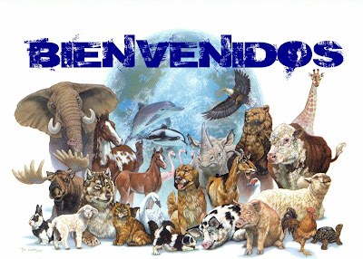 El Sonido y los Animales