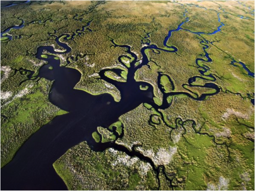 Florida Everglades: Timeline of the Everglades Ecosystem