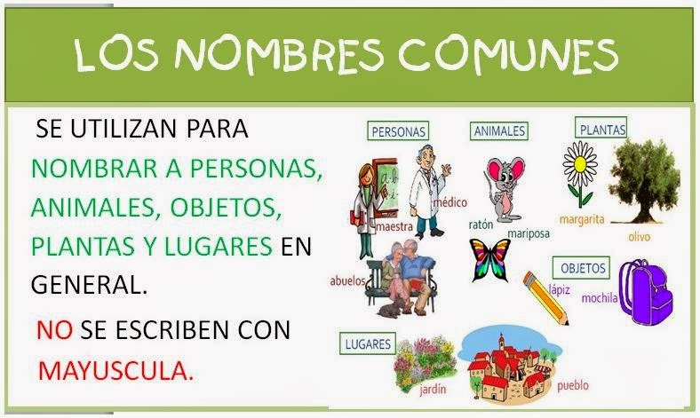 CRECEMOS: LOS NOMBRES O SUSTANTIVOS.