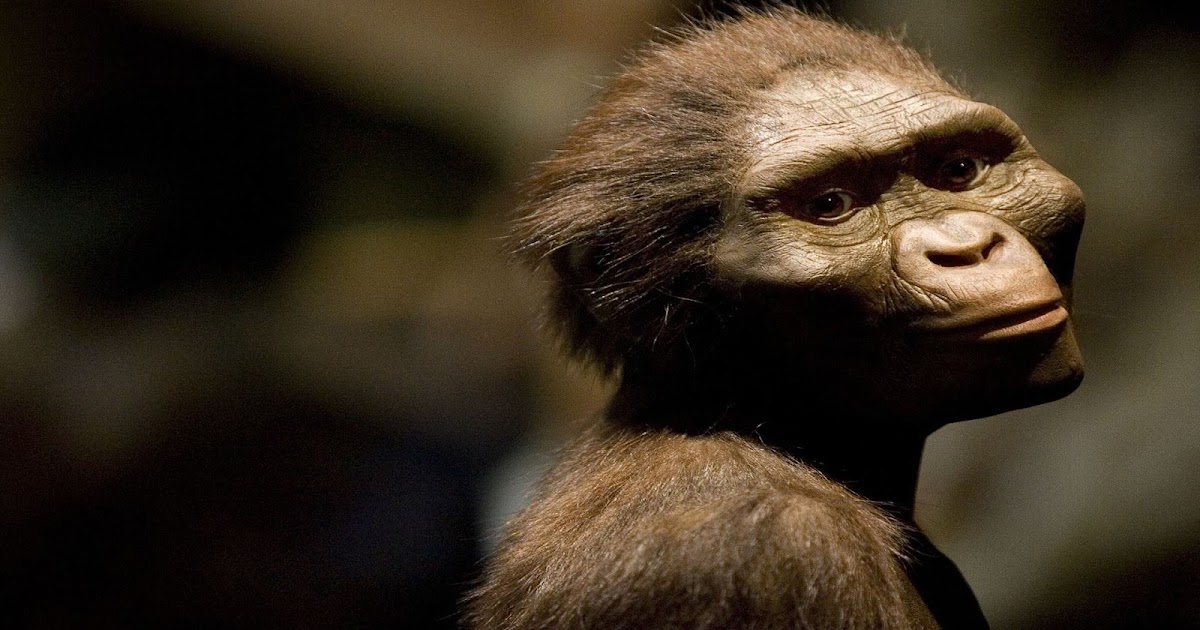 JERMAD: EL DESCUBRIMIENTO DE LUCY (HISTORIA)