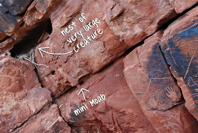 The 7MSN Ranch: This is what all the fuss was about