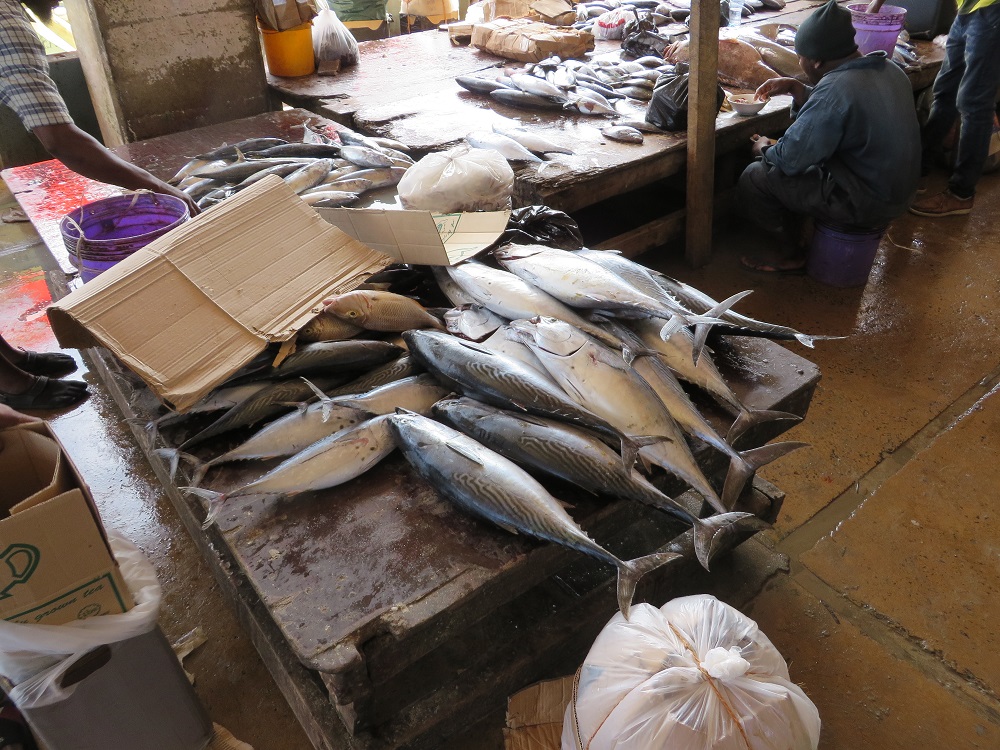 Dan and Sue in Tanzania