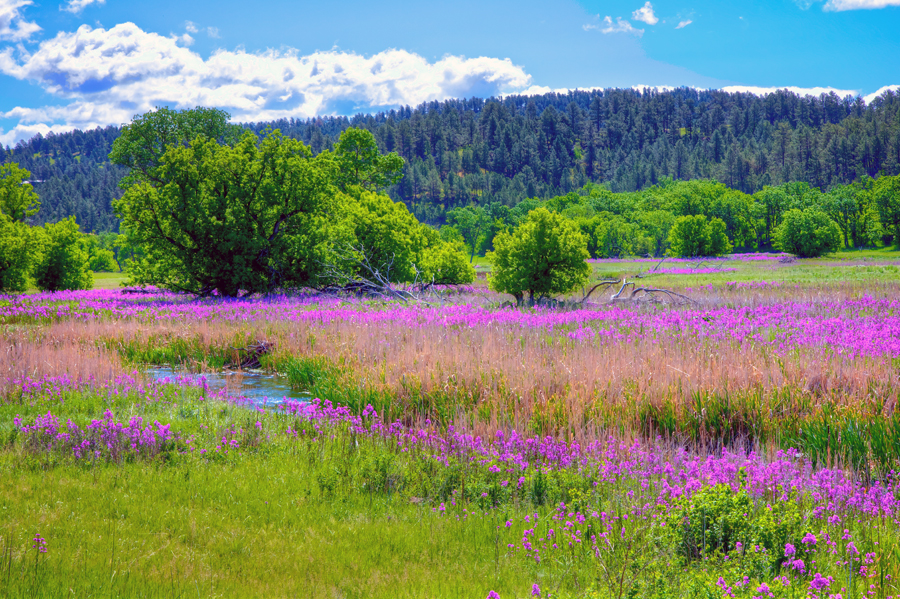 Christian Begeman: Late Spring Scenes in South Dakota