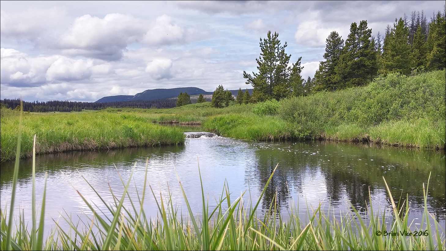 Northern Interior British Columbia: My Meadows 6 Houston British ...