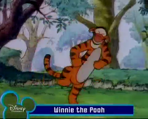 The New Adventures of Winnie The Pooh: Tigger's Shoes