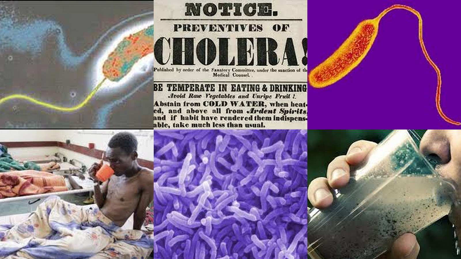 Environmental Sciences: EPIDEMIC DISEASE