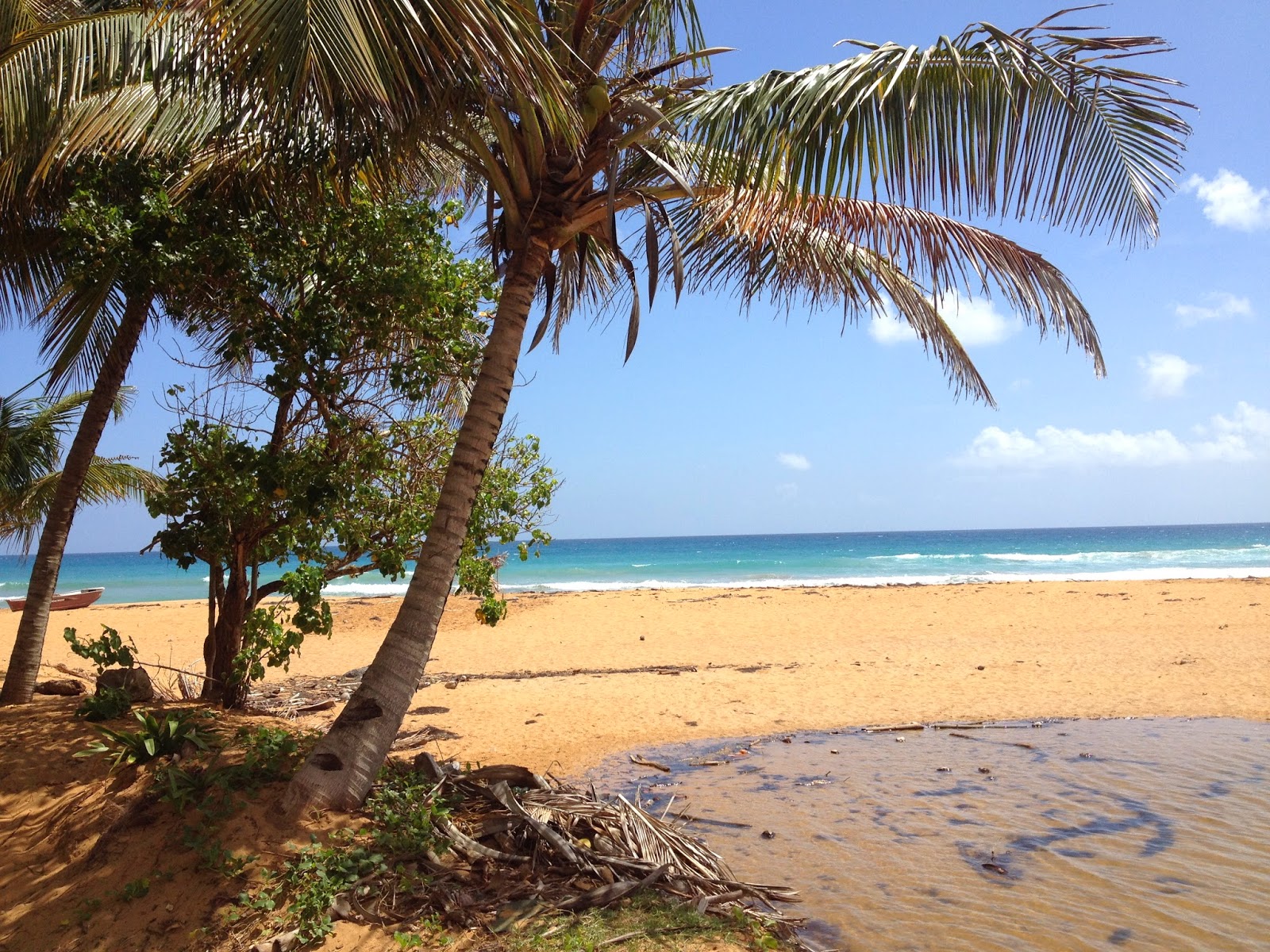 Beautiful Luquillo Beach in Puerto Rico - SILKMARI