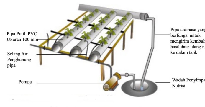CARA KERJA SISTEM DFT (DEEP FLOW TECHNIQUE) PADA HIDROPONIK - Share ...