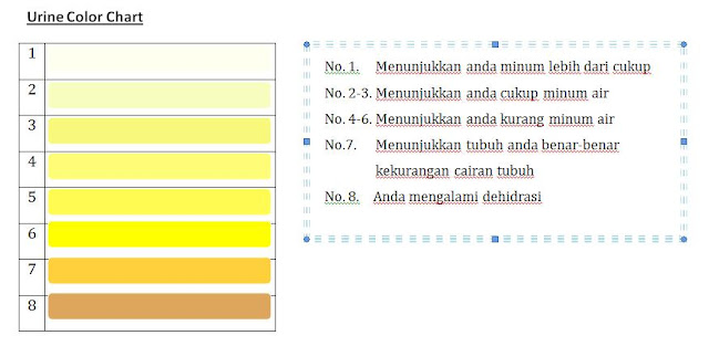 Populer 50+ Jenis Warna Urine