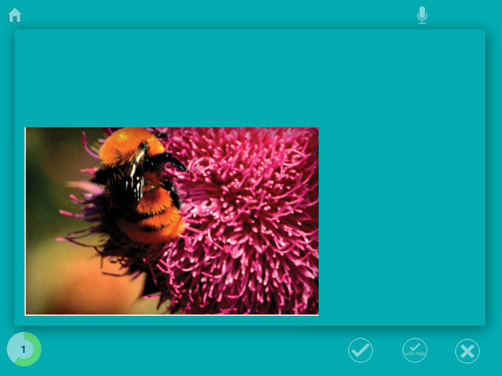 Word Nerd Speech Teach: {Review} ColorCards