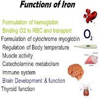 Good Health & Nutrition by Odra: Iron : Essential in the Formation of ...