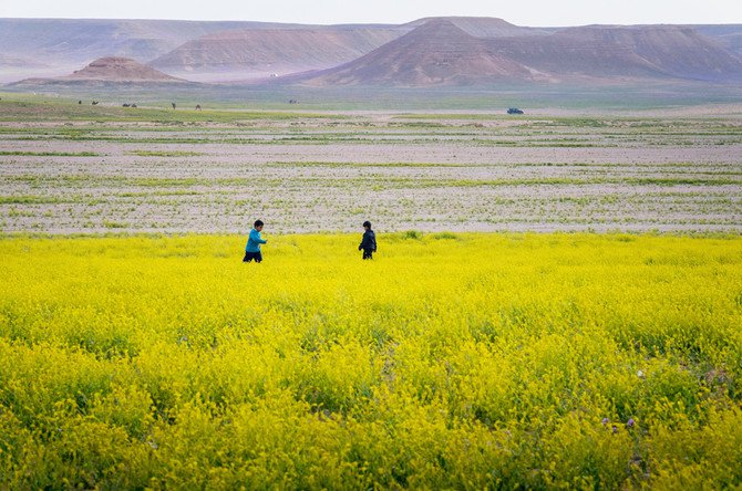 Spring Colors of Saudi Arabia