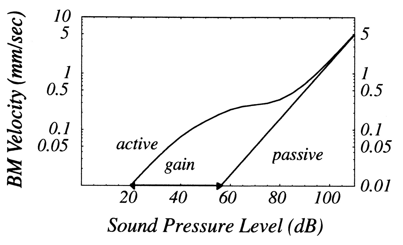bagustris@/home: Ketidaklinearan sistem pendengaran [6]