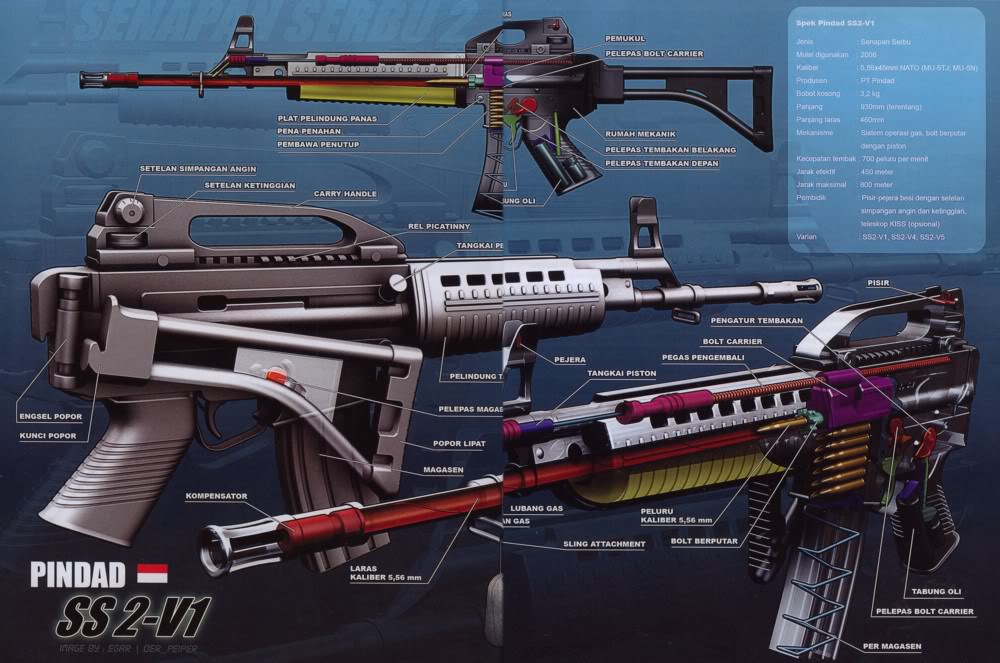 Garuda Militer: Militer Timor Leste Ingin Bangun Masa Depan Bersama TNI AD