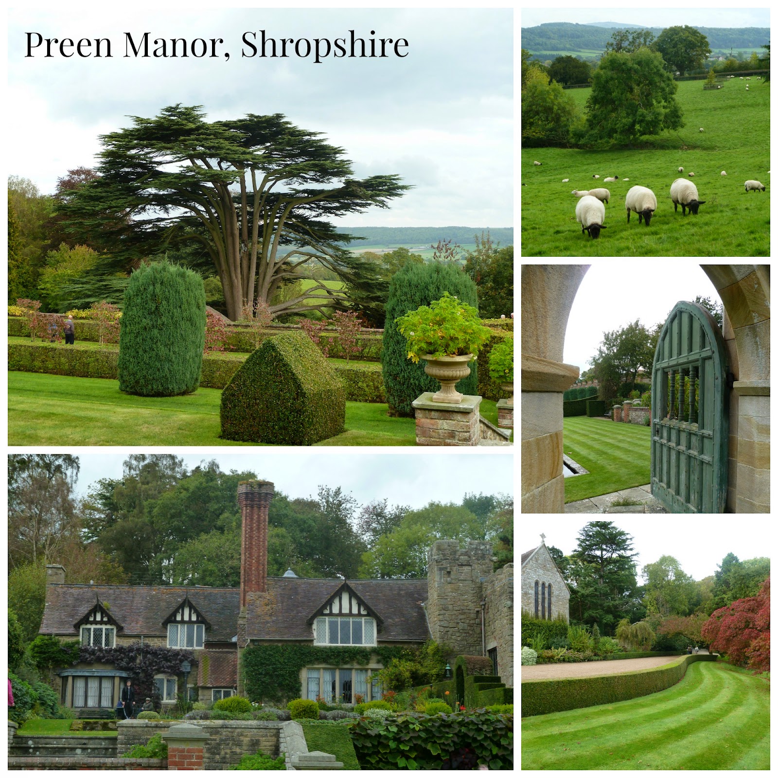 Preen Manor, NGS Garden - Shropshire - GARDEN, TEA, CAKES, (BOOKS) AND ME