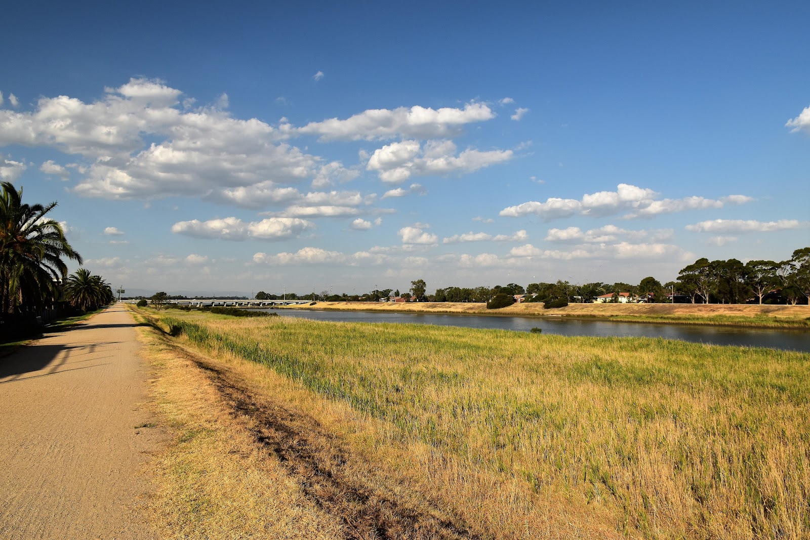 Goin' Feral One Day At A Time: Patterson River - February 2019