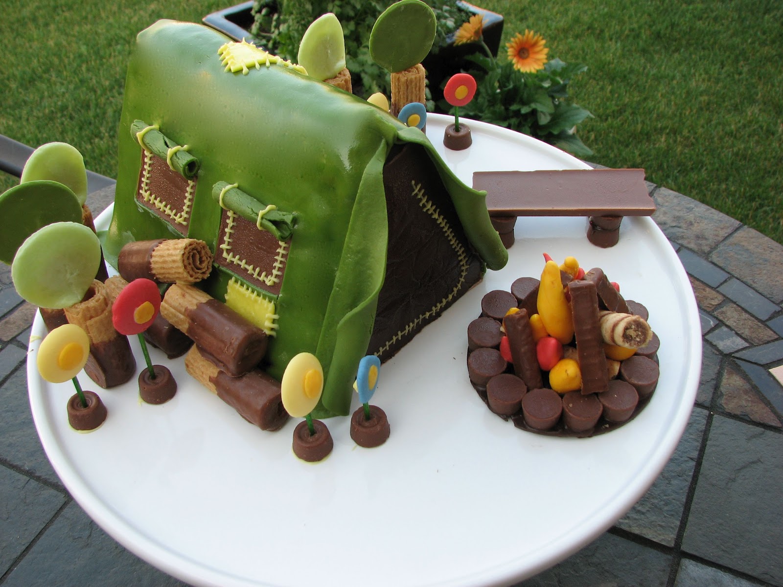 Vesna's Party Blog: Camping Birthday Party - Cake