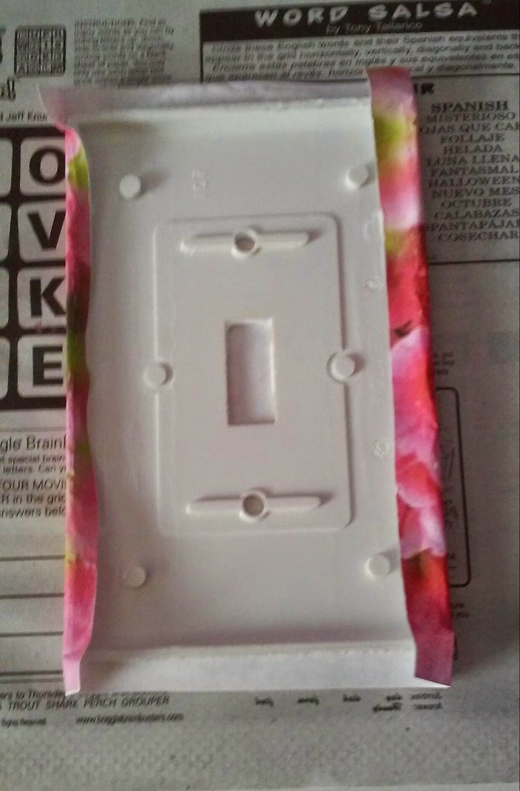 DIY projects: DIY light switch cover