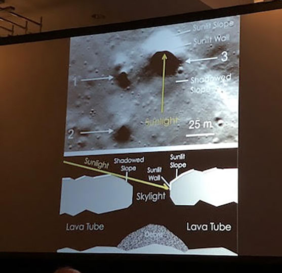 Palmia Observatory: Highlights from Los Angeles at the International ...