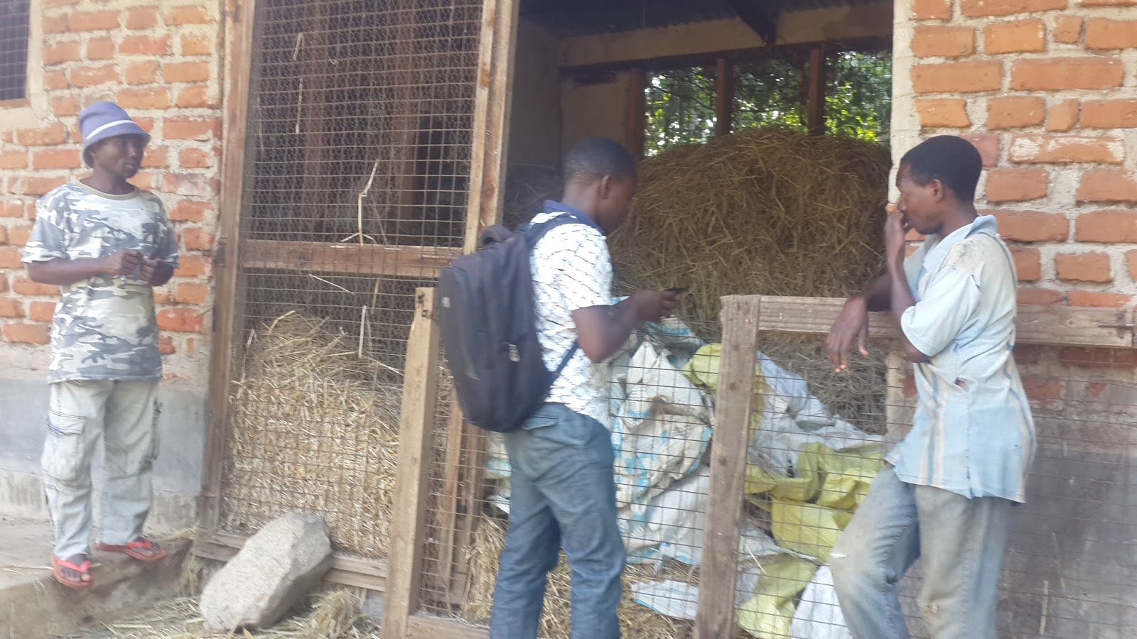 TRACING CHALLENGES AND OPPORTUNITIES : AMAIZING MUSHROOM FROM MAZIMBU ...