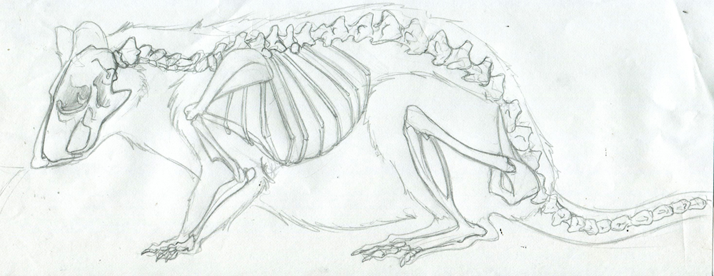 J Springer: March 2013