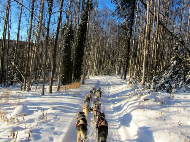 A Stunning Day in Two Rivers, Alaska - SP Kennel