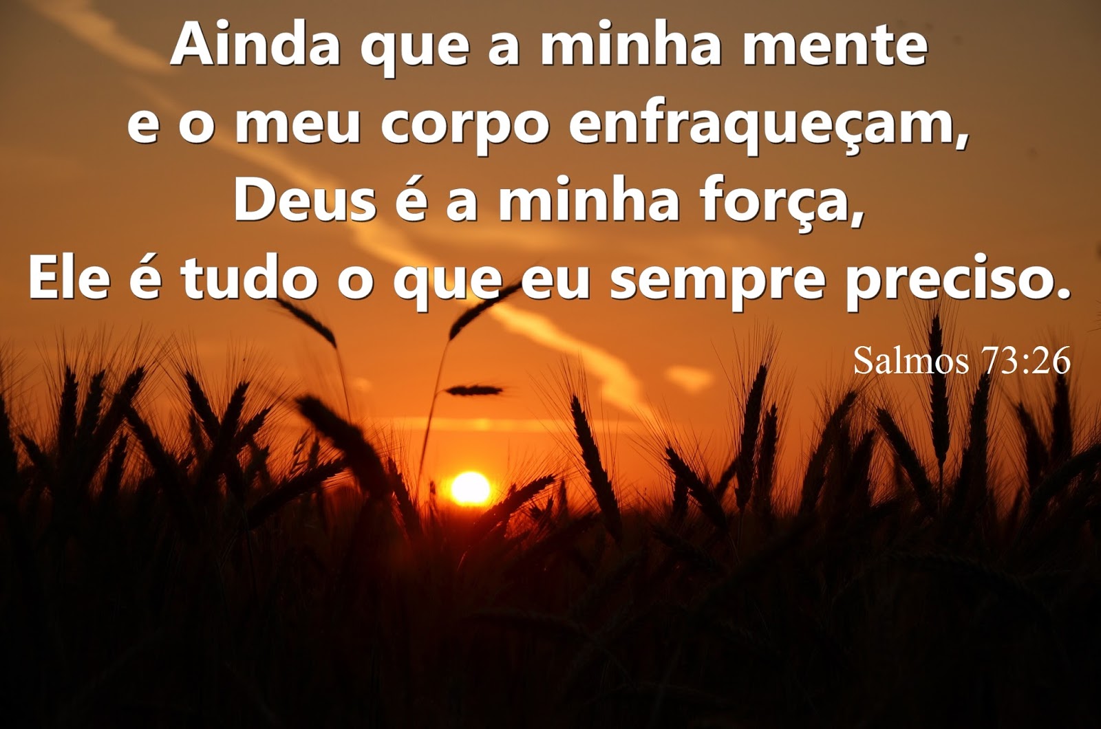 Troco Likes: Salmos 73:26