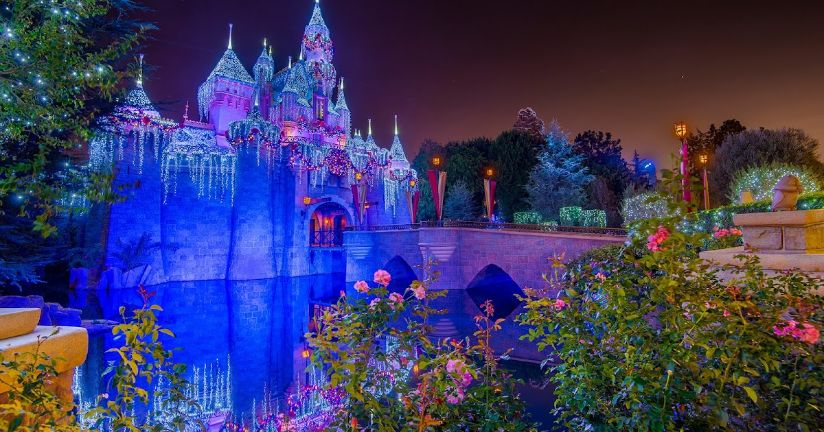 Disney Photoblography