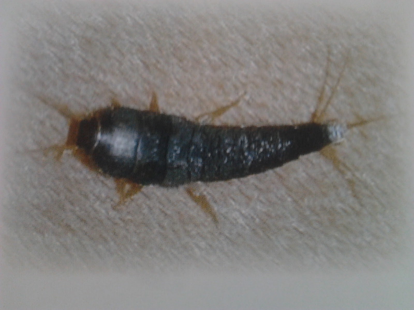 Januari 2012 | Dunia Biologi