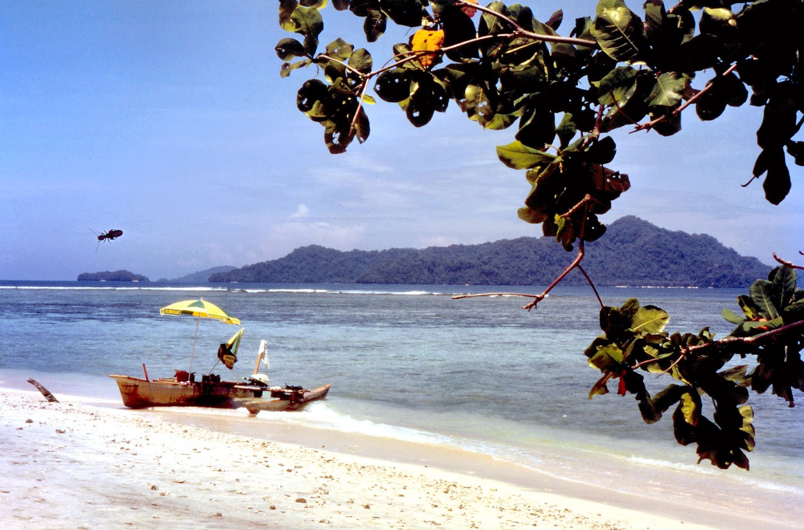 The Bougainville Copper Project: Andy Price contributed these priceless ...