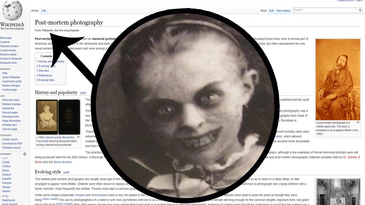 5 pages les plus bizarre sur Wikipédia | Play Technology