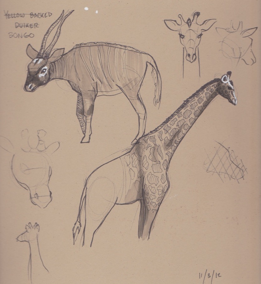 Gina Draws . . .: Dynamic Sketching Week 5 & 6