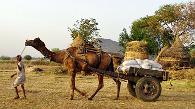 | Village Life | Beauty of Village Life | Childhood and Village Life ...