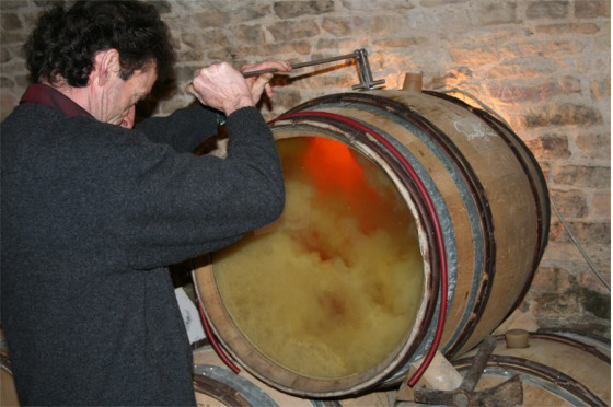 The Sommelier Update: Muscadet