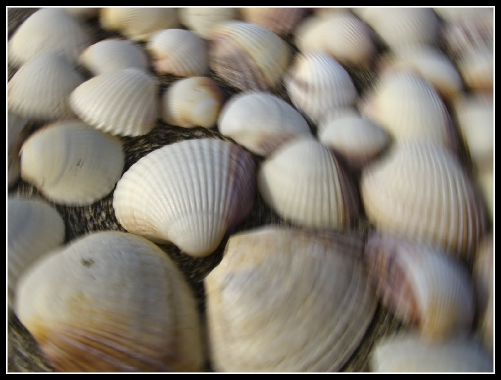 De fotos y otros asuntos: 2011