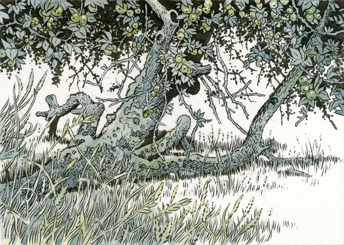 Simon Gane: Malaga, Ibiza and Somerset