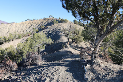 gjhikes.com: Horseshoe Ridge