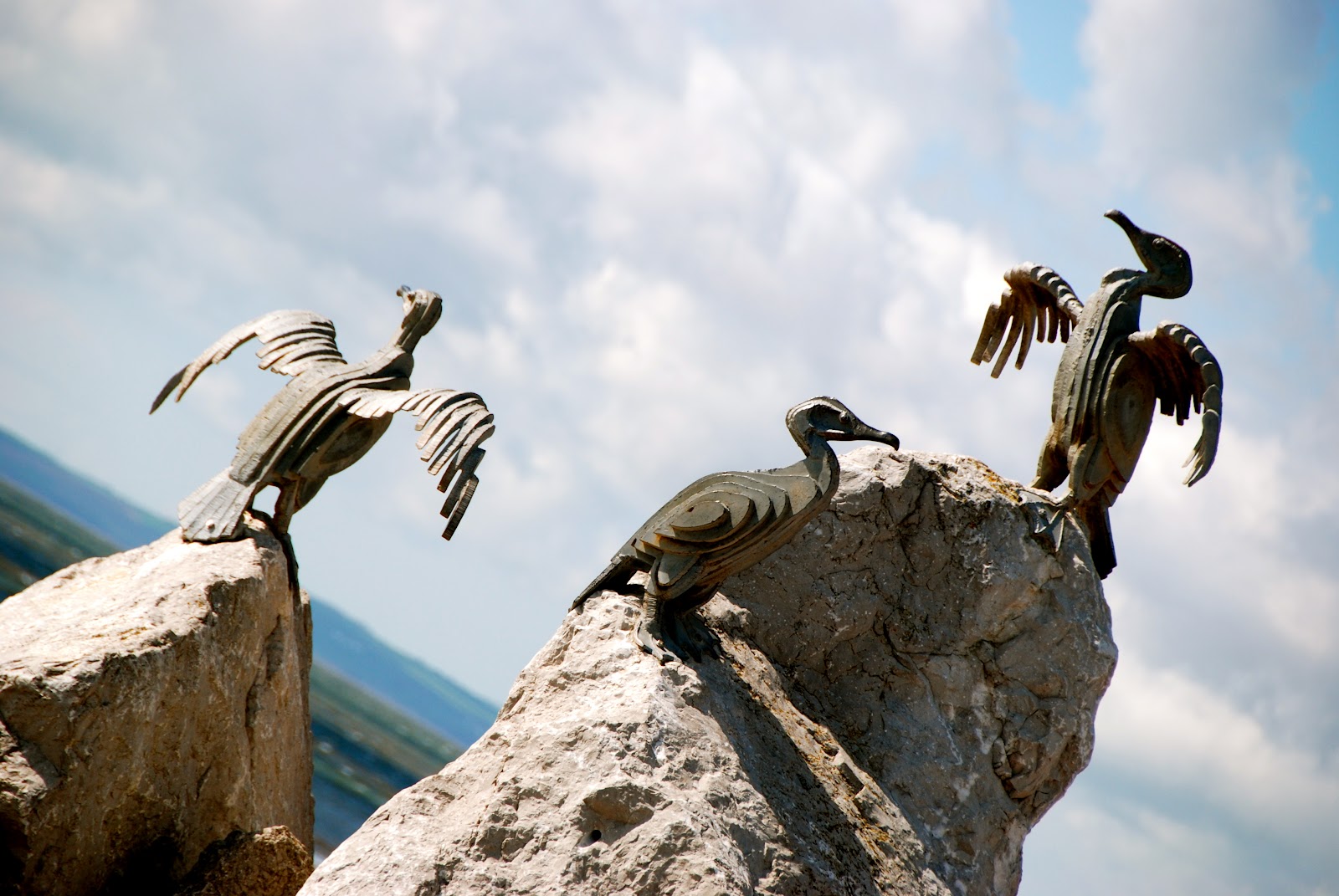 imac's Photos from the Minds Eye: The Birds of Morecambe Bay?
