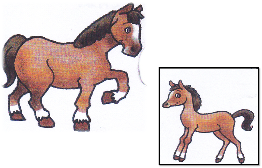 Learning of Animals: The Growing Process In Animals