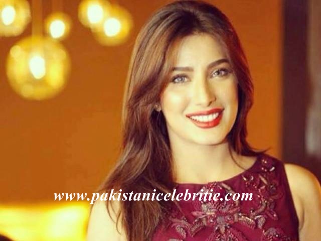 Mehwish Hayat Biography , Brother , Dramas And Movies ...