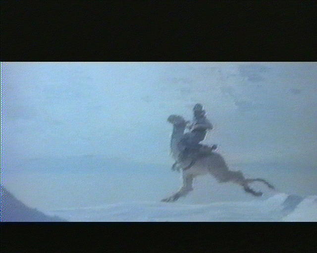 Luke and his Tauntaun