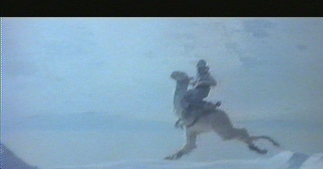 Luke and his Tauntaun