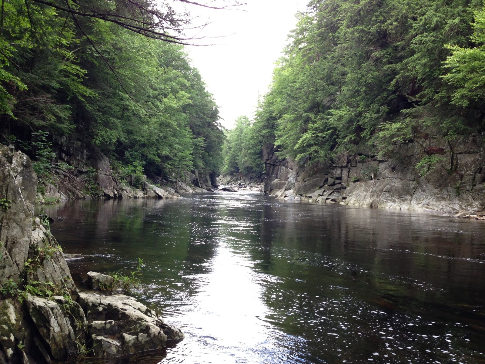 FLY FISHING in NEW ENGLAND: WESTFIELD RIVER