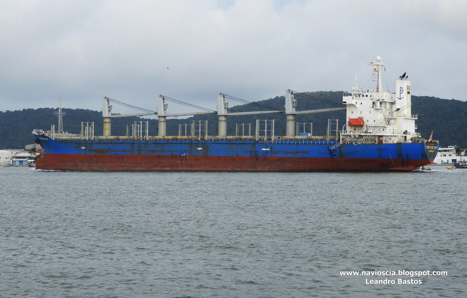 Navios de Santos & CIA: Navio FORTUNE BAY