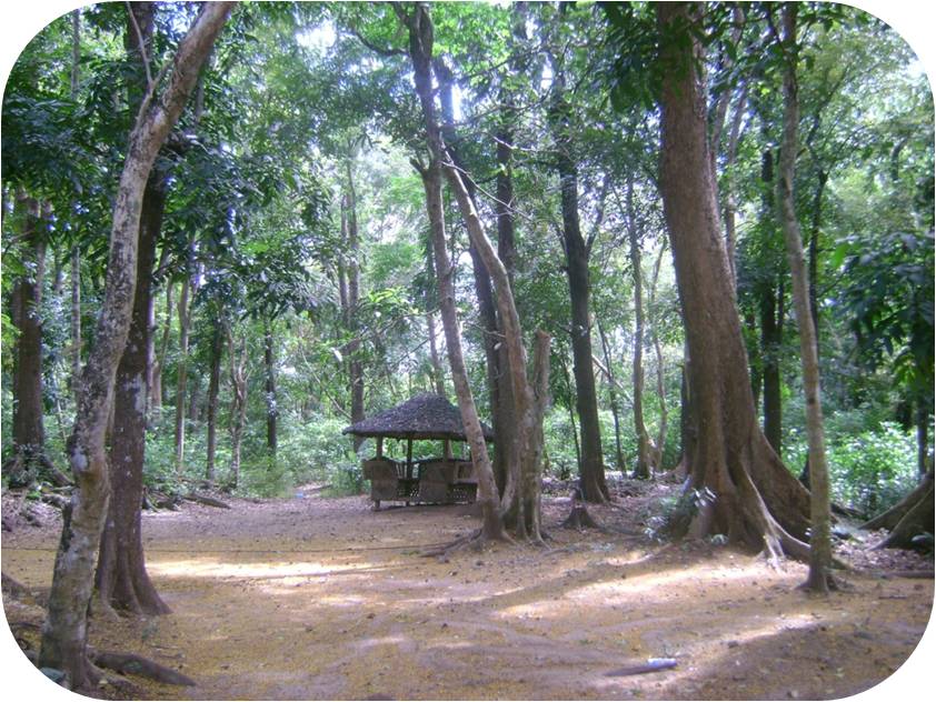 ako c renel: Muicipality Of Gattaran