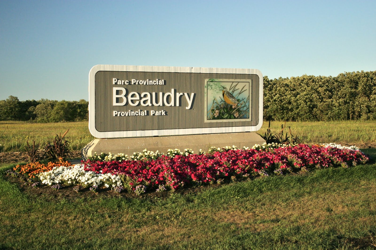 43 Carbutt: Beaudry Provincial Park